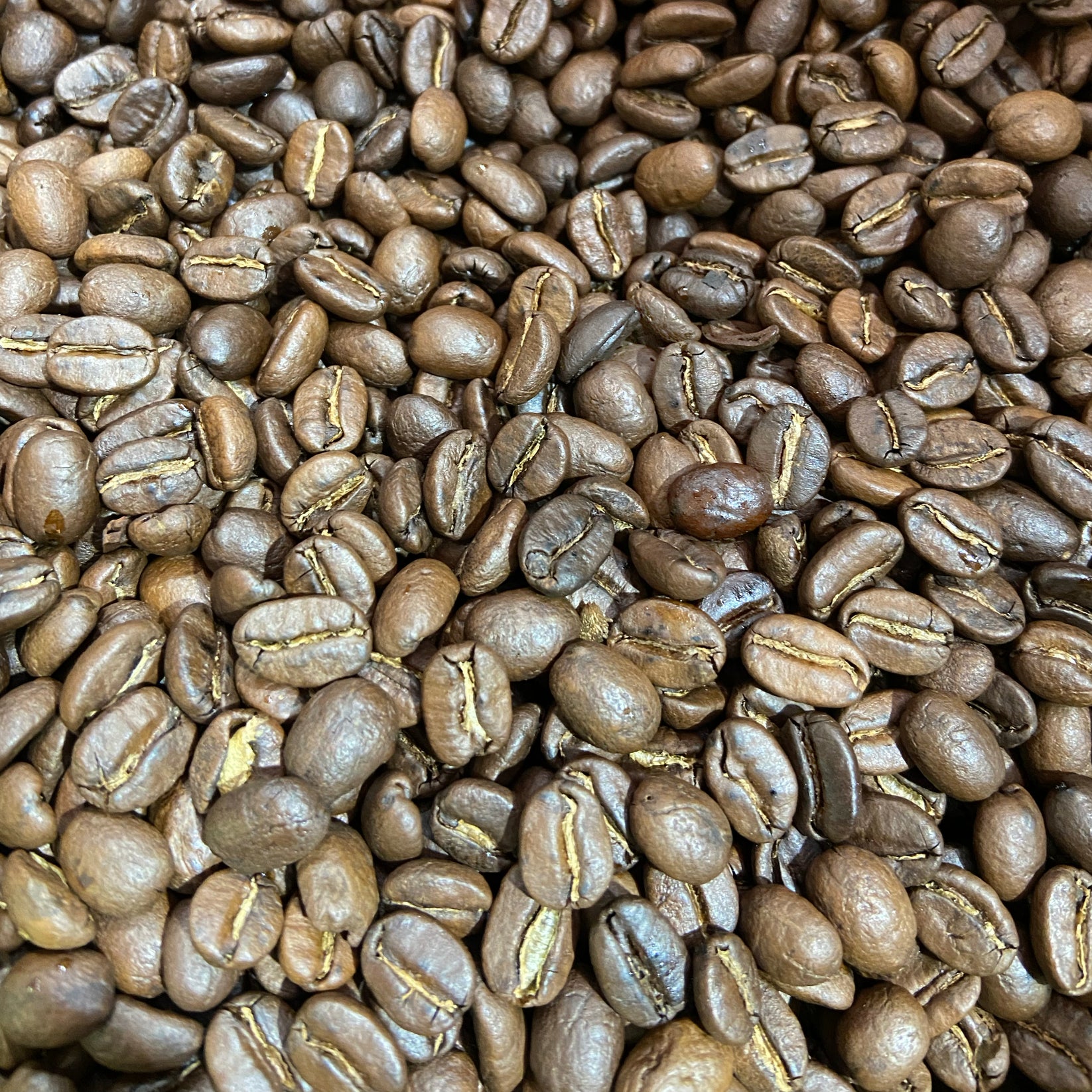 Coffee Beans Colombia Excelso – Little House Coffee Co